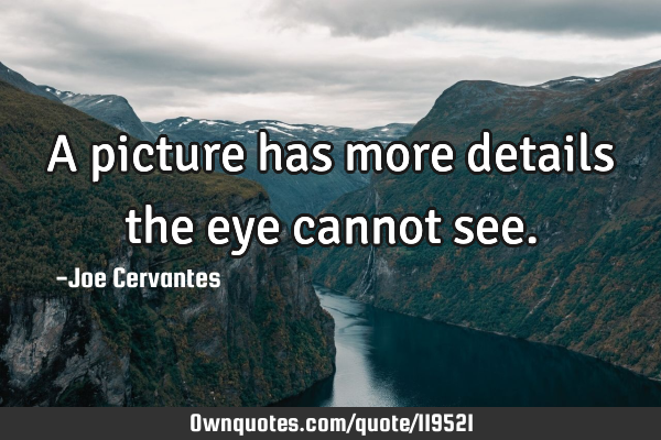 A picture has more details the eye cannot see.: OwnQuotes.com