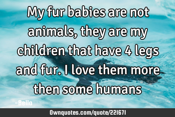 My fur babies are not animals, they are my children that have 4 ...
