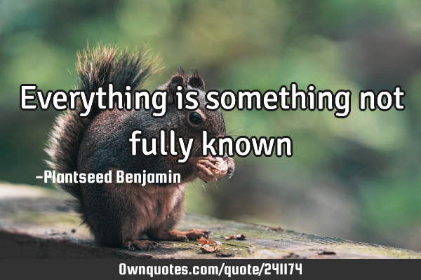 Everything is something not fully known: OwnQuotes.com