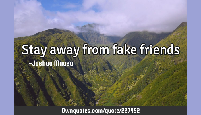 Shady Friends Quotes